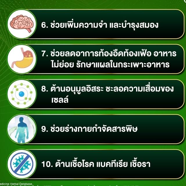 Pancha Phuta Capsule ปัณจะ ภูตะ ชนิดแคปซูล กิฟฟารีน สมุนไพร 39 ชนิด ...