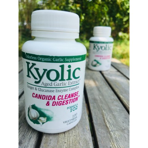 กระเทียมบ่มสกัดไร้กลิ่น Kyolic Aged Garlic Extract Formula 102, Candida ...