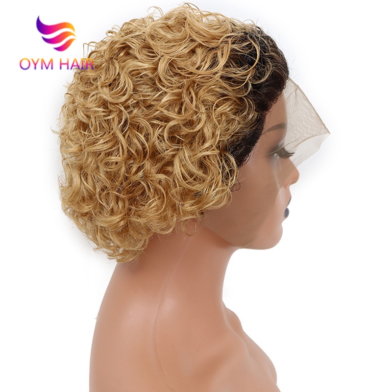 In StockPixie Cut Wig Short Curly Lace Front Human Hair Wigs for Black ...