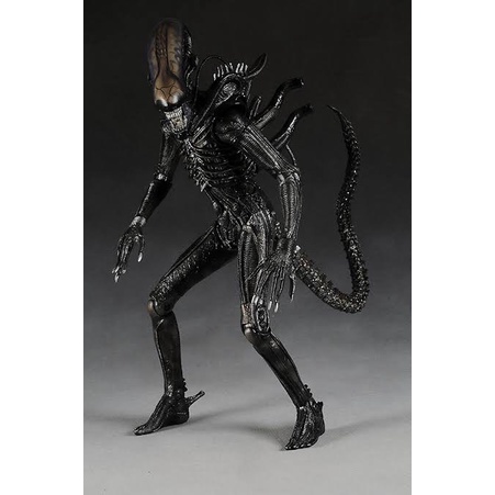 ALIEN 1979 Xenomorph Action Figure NECA(แท้) 14 Scale 50 cm ...