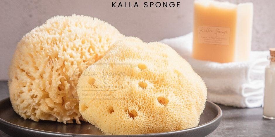 ฟองน้ำธรรมชาติ Kalla Sponge , ร้านค้าออนไลน์ | Shopee Thailand