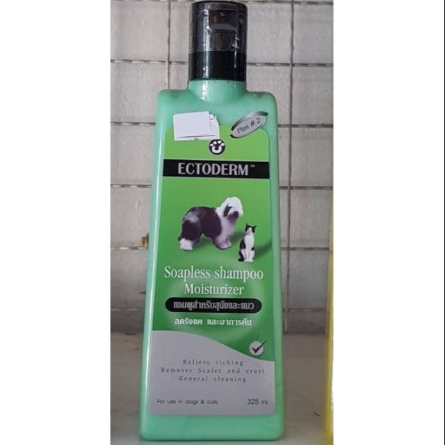 Ectoderm ถูกที่สุด พร้อมโปรโมชั่น ก.ค. 2022|BigGoเช็คราคาง่ายๆ