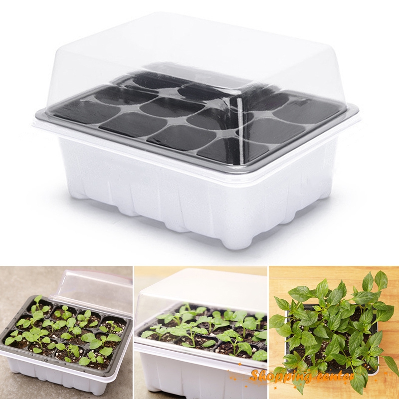 ♡SC 6/12-hole Seedling Box Tray Seed Plant Starter Tray Garden Supply ...