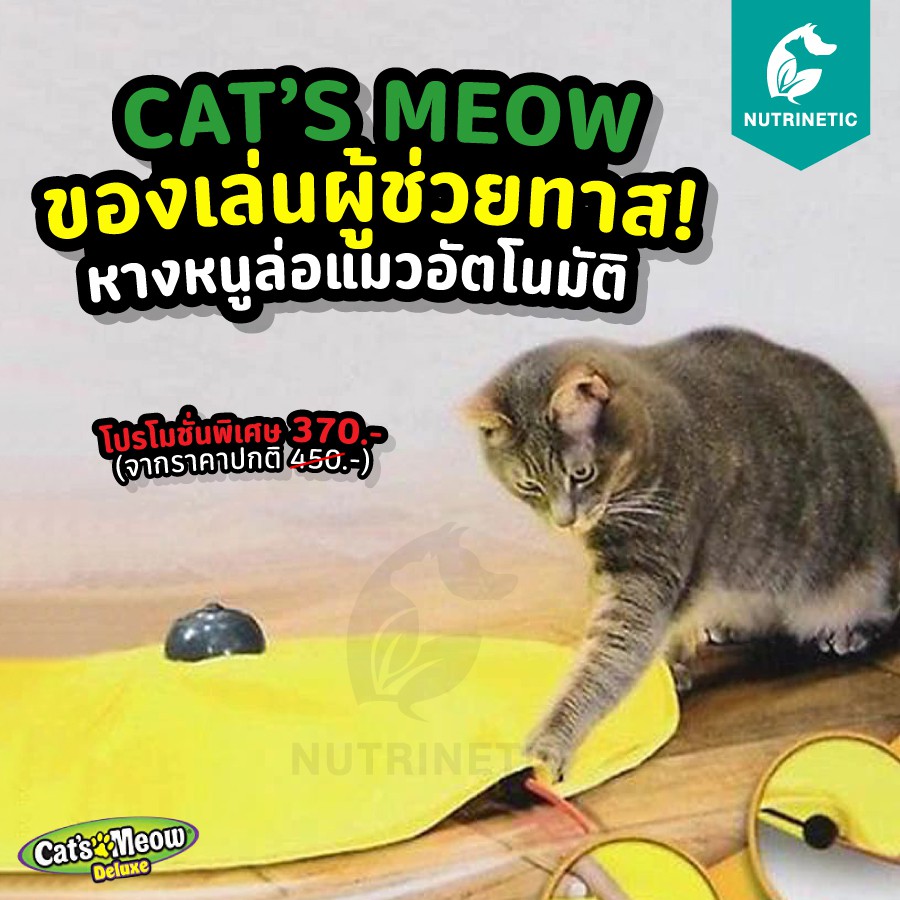CAT’S MEOW หางหนูล่อแมวอัตโนมัติ ให้แมวแมวเล่นวิ่งไล่จับ ลดความเครียด ...