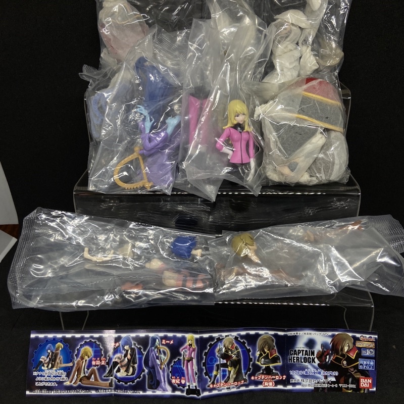 HG Series Captain Harlock Space Pirate Captain Herlock The Endless ...