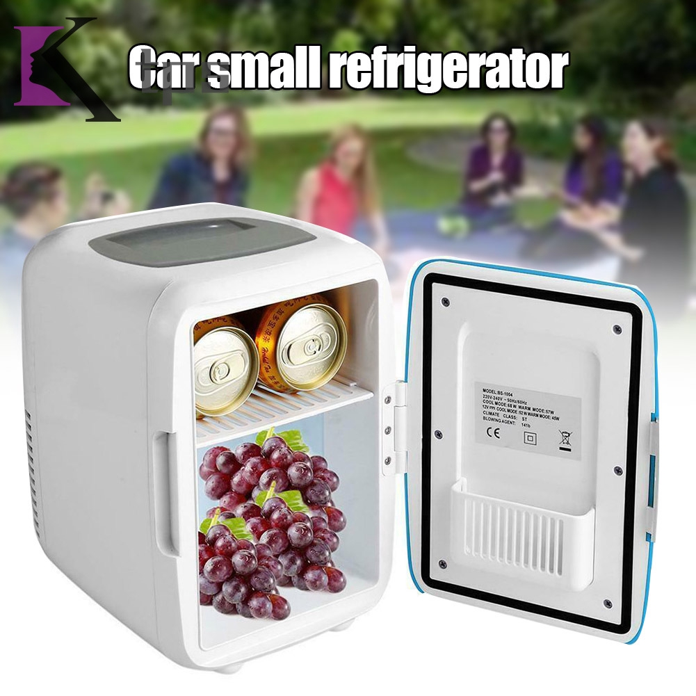 4L Mini Car Fridge Travel Freezer Portable Camping Driving Small ...