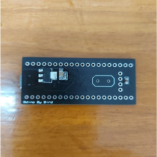 Bduino arduino board STM32 32kb STLink SWD | Shopee Thailand