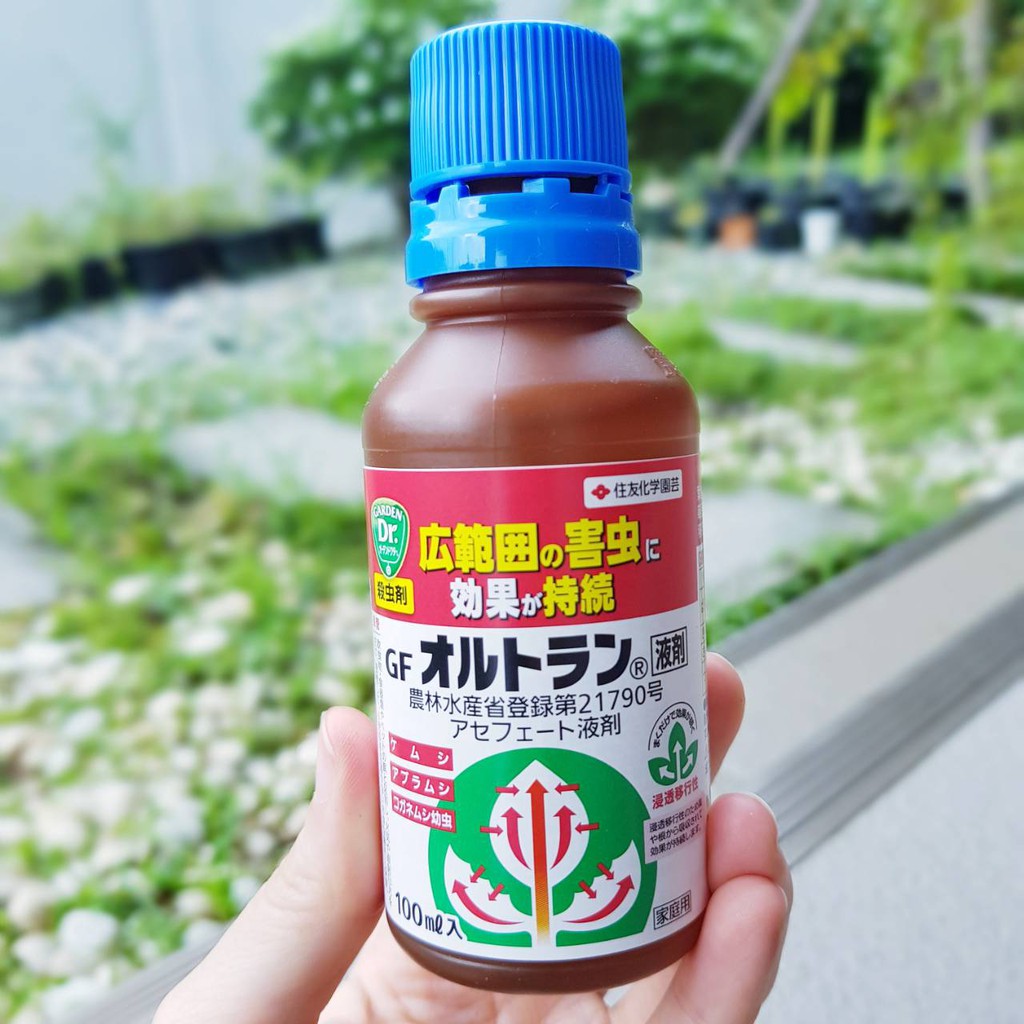 ยากำจัดศัตรูพืช GF Ortran 100ml. แบบน้ำ by Sumitomo สำหรับ แคคตัส ไม้ใบ ...