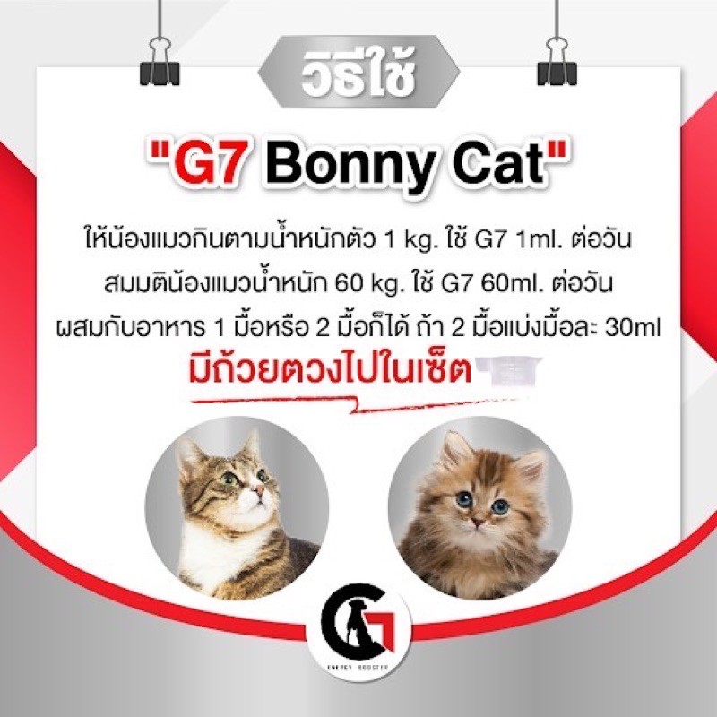 G7 Bonny Cat ขั้นสุดของการบำรุงเจ้าเหมียว - kookkik.wachida - ThaiPick