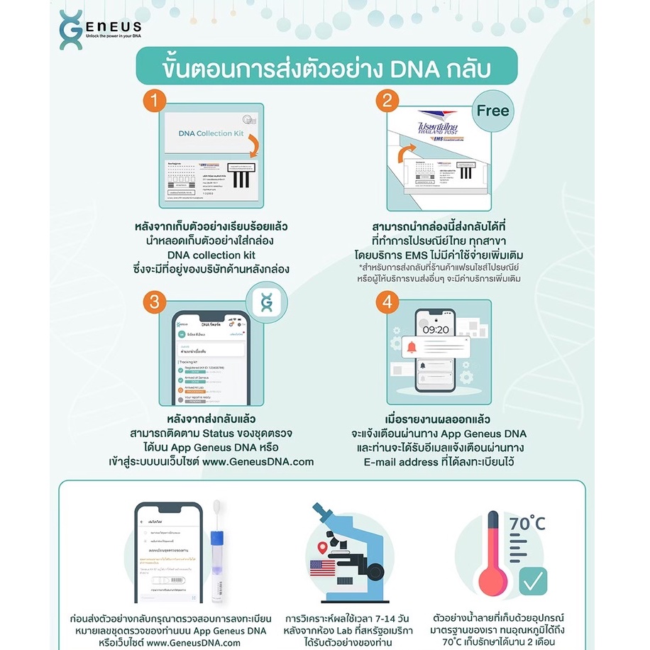 Geneus DNA PREMIUM x 3 (สำหรับ 3 ท่าน) - geneusgenetics - ThaiPick