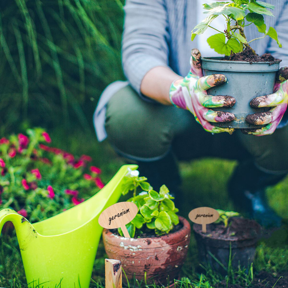 Mxgoods ป้ายไม้เขียนข้อความสําหรับตกแต่งกระถางต้นไม้ 50 ชิ้น - mxgoods.th - ThaiPick