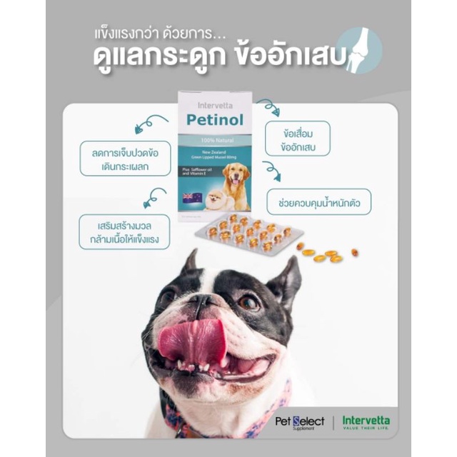 Petinol (กล่อง 30 เม็ด) เพทตินอล บำรุงข้อสุนัข ดูแลกระดูก ข้ออักเสบ ...