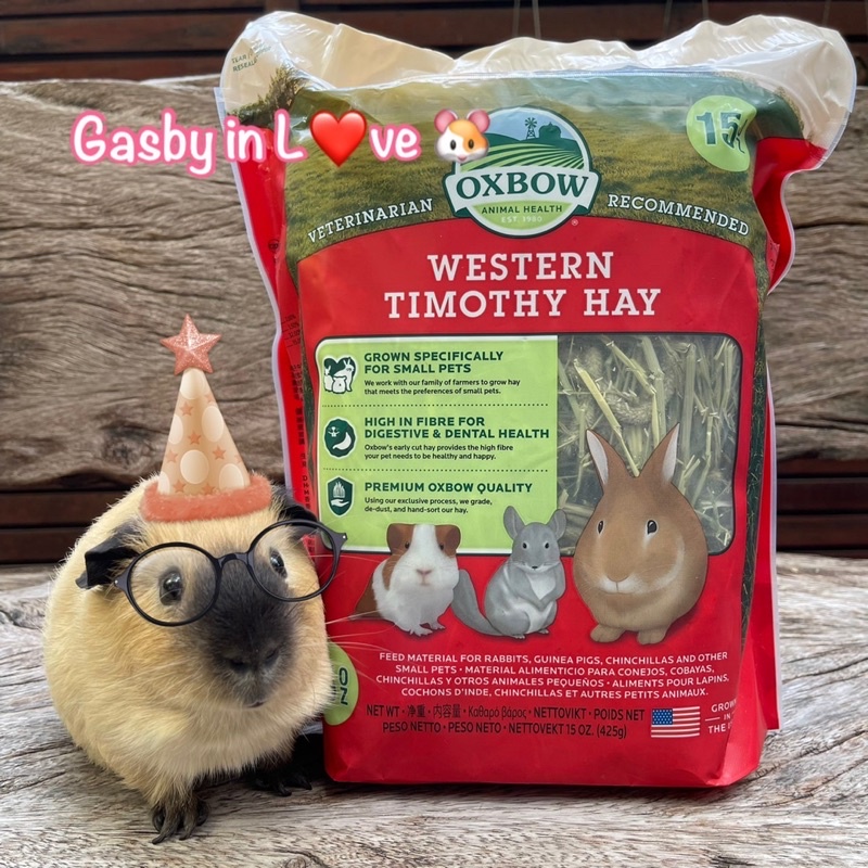 Oxbow Western Timothy Hay หญ้าแห้งทิโทธี สำหรับสัตว์ฟันแทะ - gbinlove ...