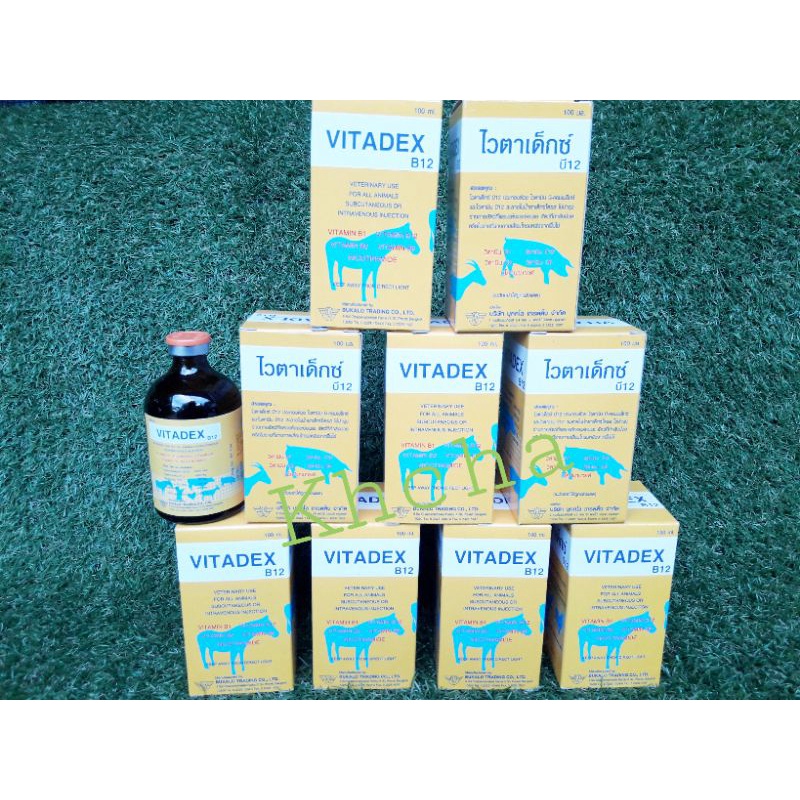 ไวตาเด็กซ์ บี12 VITADEX B12 100ml. - big_banksg - ThaiPick