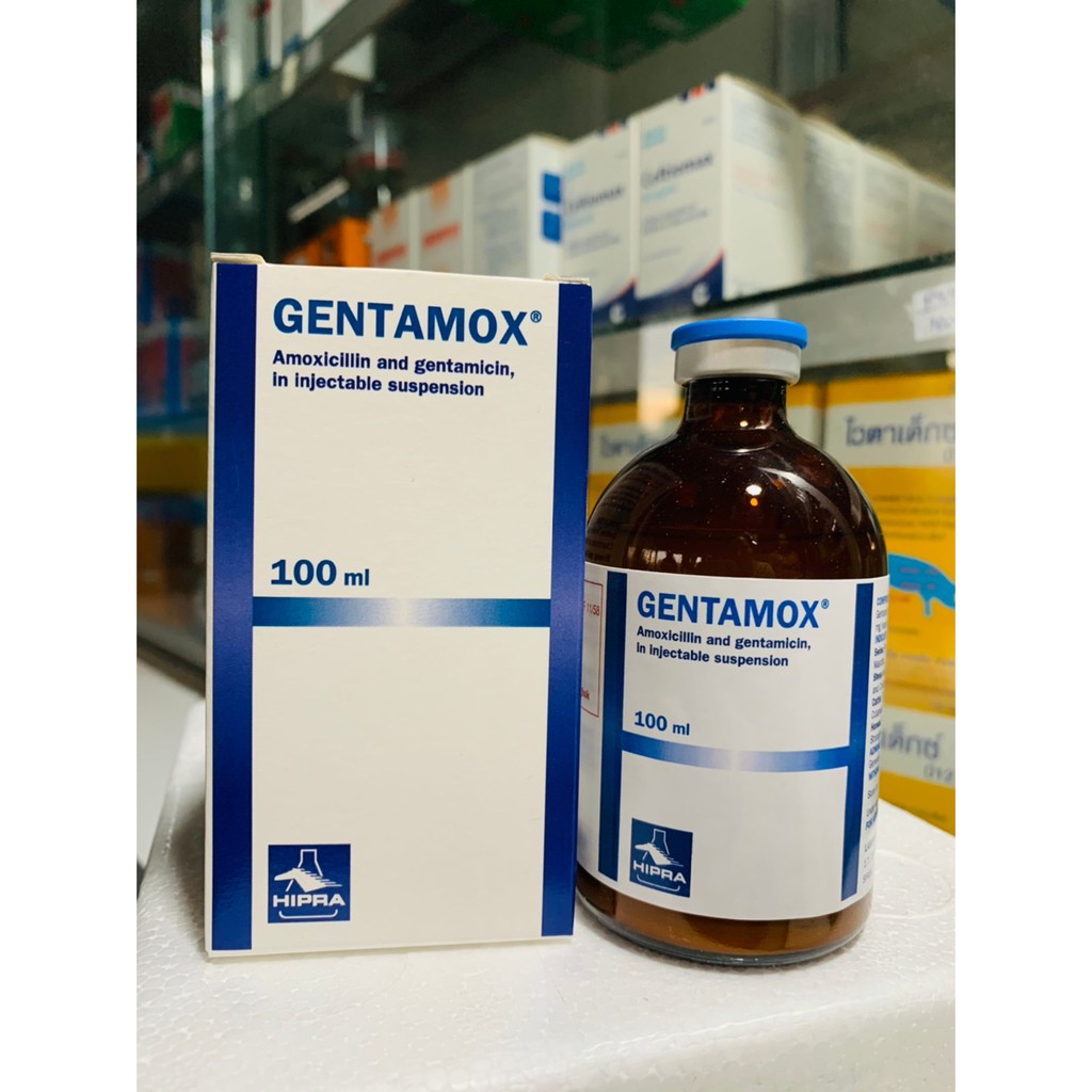 เจนต้าม็อก Gentamox 100ml - peebeery - ThaiPick