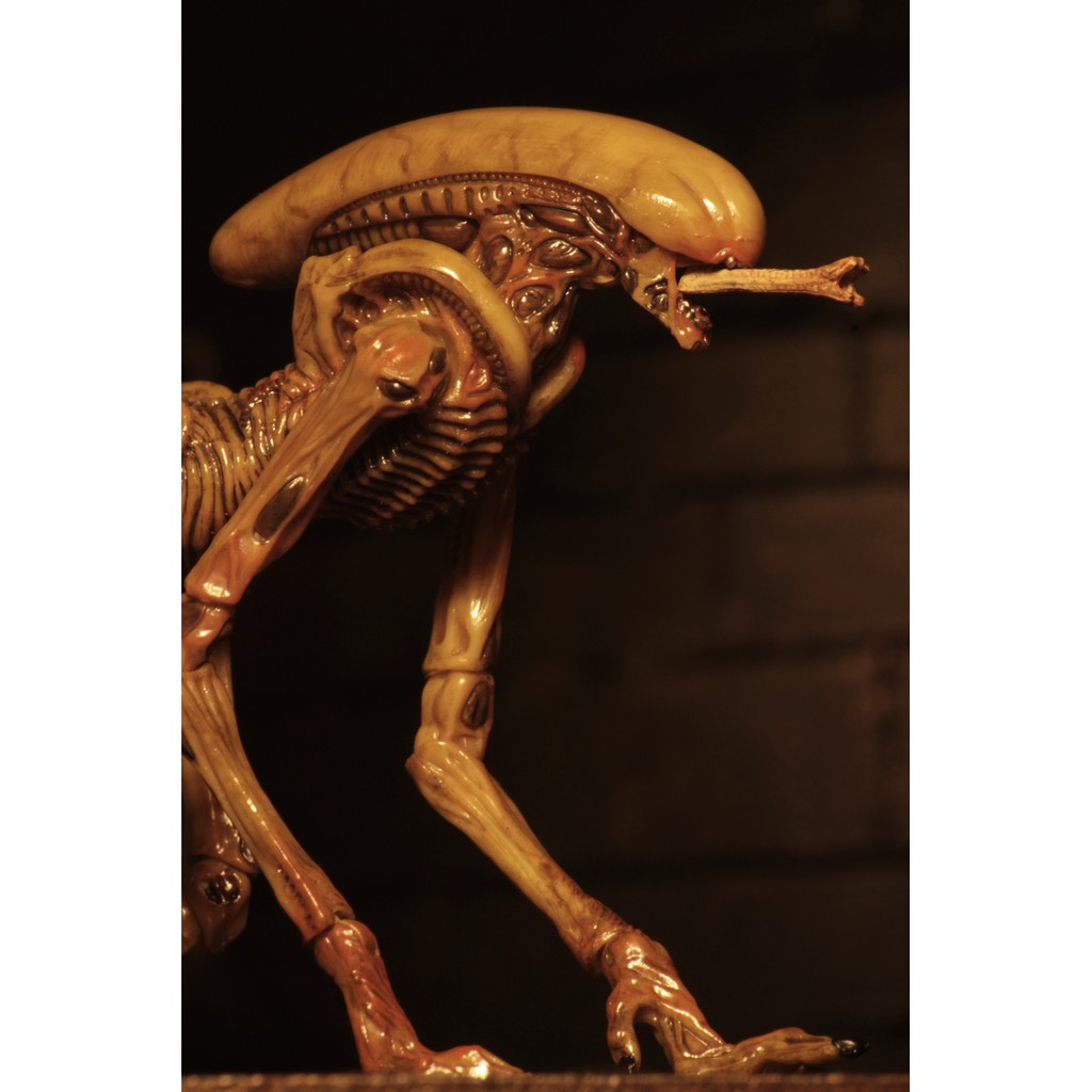 NECA Alien 3 Accessory Pack Creature Pack - uvm8z_ocyj - ThaiPick