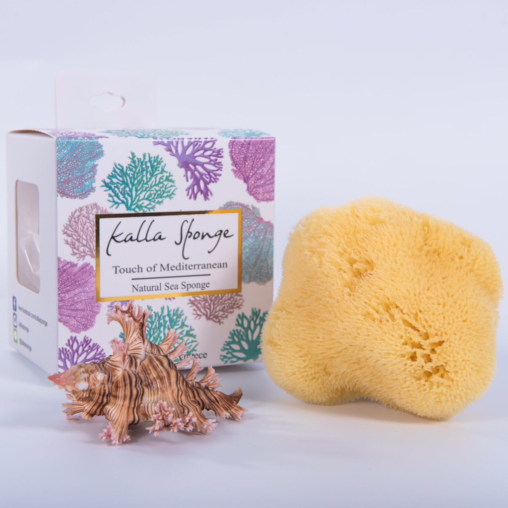 ฟองน้ำธรรมชาติ Kalla Sponge ชนิด Fine Silk สีเหลือง สำหรับอาบน้ำ (FREE EMS) - m1lo9hx4mj - ThaiPick