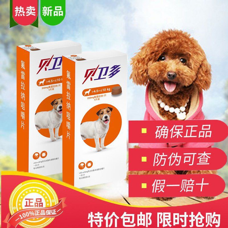 fCpJ สุนัขตัวเล็ก, สุนัขตัวเล็ก, สุนัขตัวเล็ก4.5-10kgสุนัขสุนัขการงาน ...