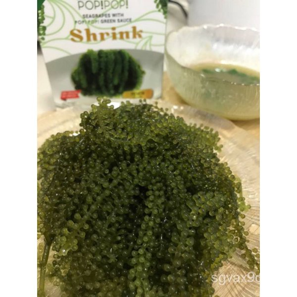 LATOK POP POP SHRINK VIRAL LIMITED (LATOKSOS) WAy7 - sgvax9ohzr - ThaiPick