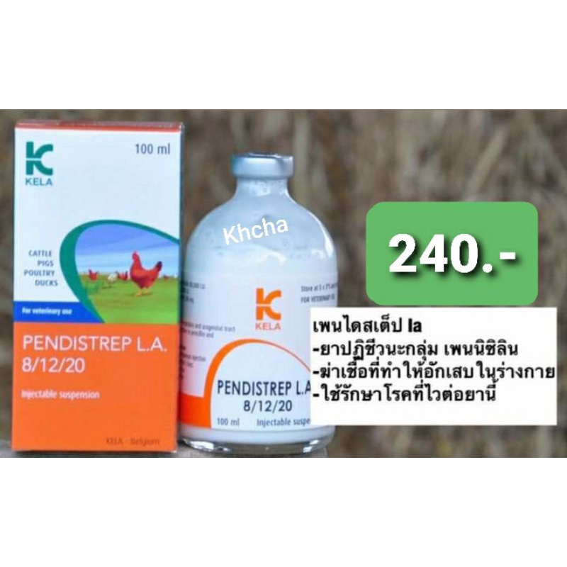 Pendistrep L.A. เพ็นไดสเตร็ป แอลเอ 100 ml Exp 082023 (ไม่มีกล่อง ...