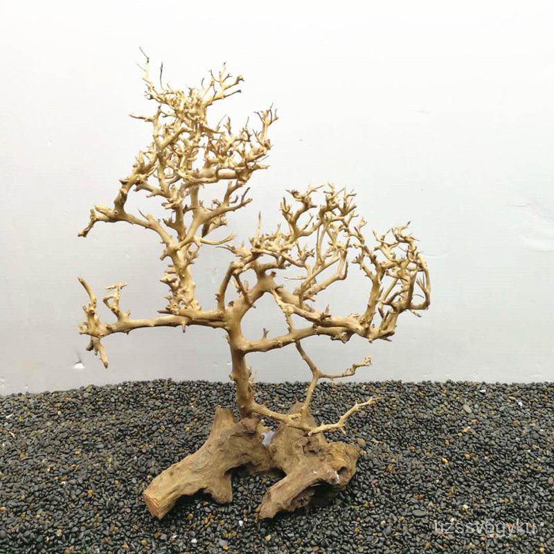 Wood Fish Tank Driftwood Natural Moss Tree Purple Teak Trunk Driftwood ...