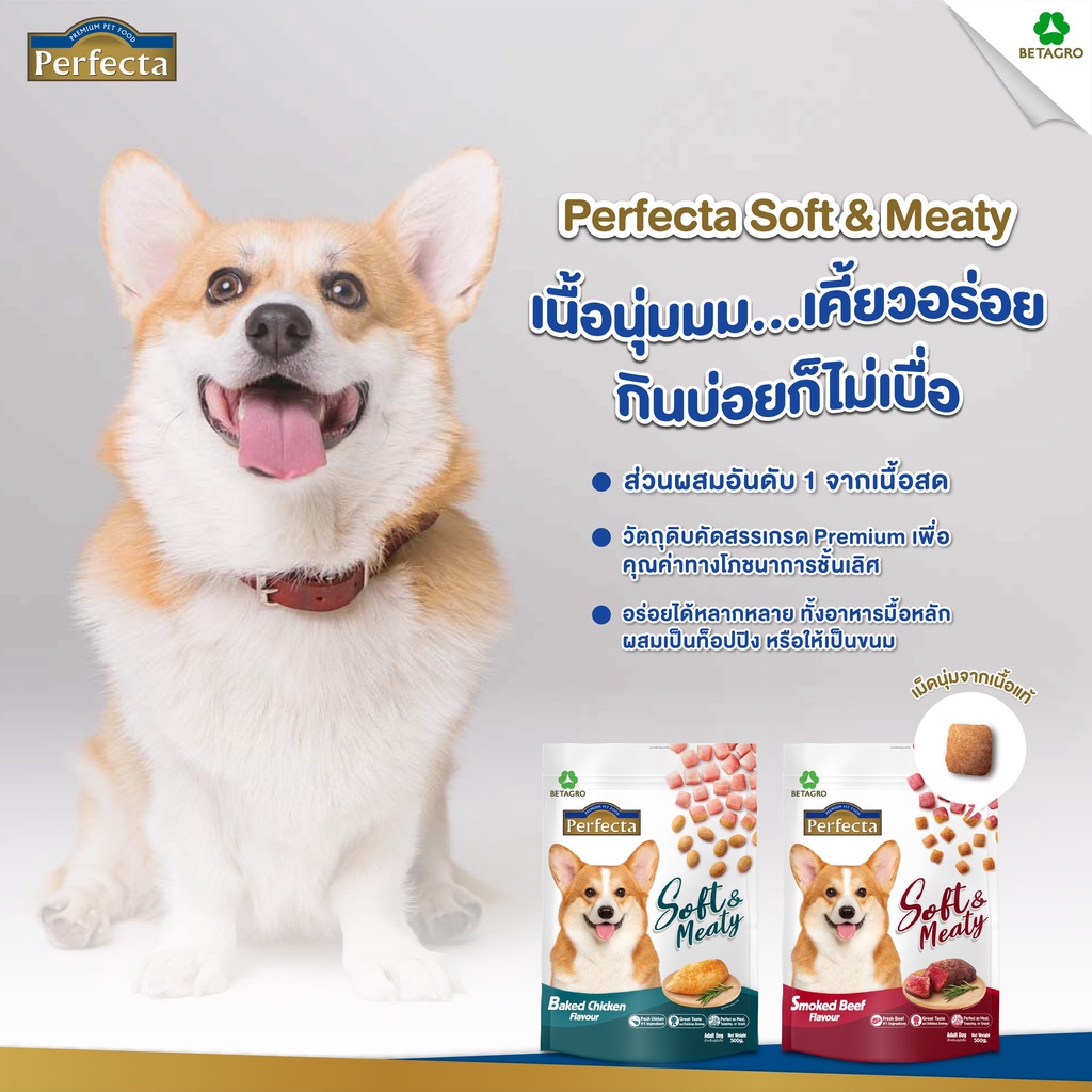 Perfecta Soft Meaty สำหรับสุนัขทานยาก อาหารสุนัขเม็ดนิ่ม สำหรับสุนัขโต ...