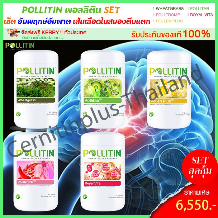 Pollitin พอลลิติน Cernitin เซอร์นิติน - เซตเนื้องอก 2 เนื้องอกในเต้านม ...