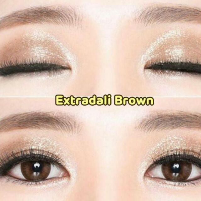 Extra Dali Brown | Shopee Thailand