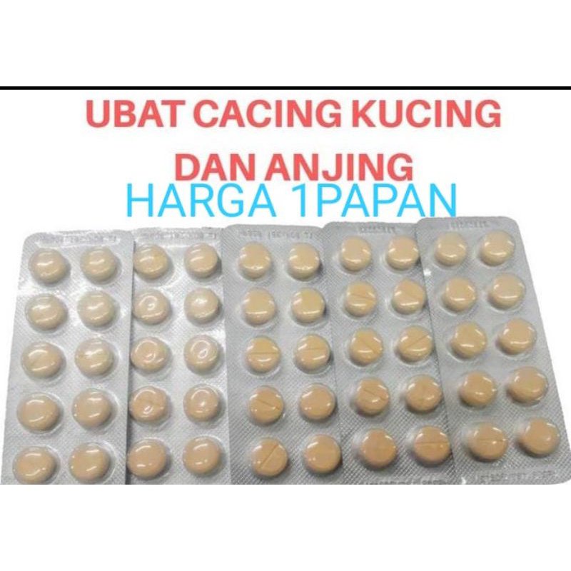 UBAT CACING TABLET KUCING ANJING (1 papan ) TTp9 - rk70zjtfo1 - ThaiPick