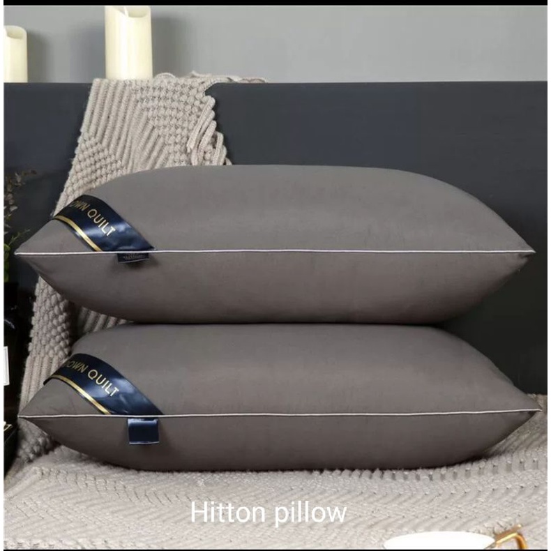 Hitton ถูกที่สุด พร้อมโปรโมชั่น ม.ค. 2024|BigGoเช็คราคาง่ายๆ