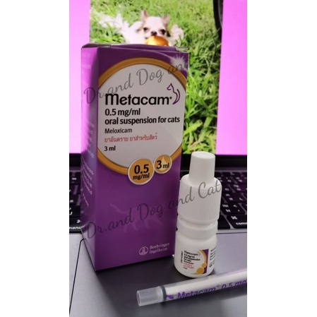 Metacam เป็นNSAID ที่มีฤทธิ์ต้านการอักเสบแก้ปวดและลดไข้ สำหรับน้องแมว ...