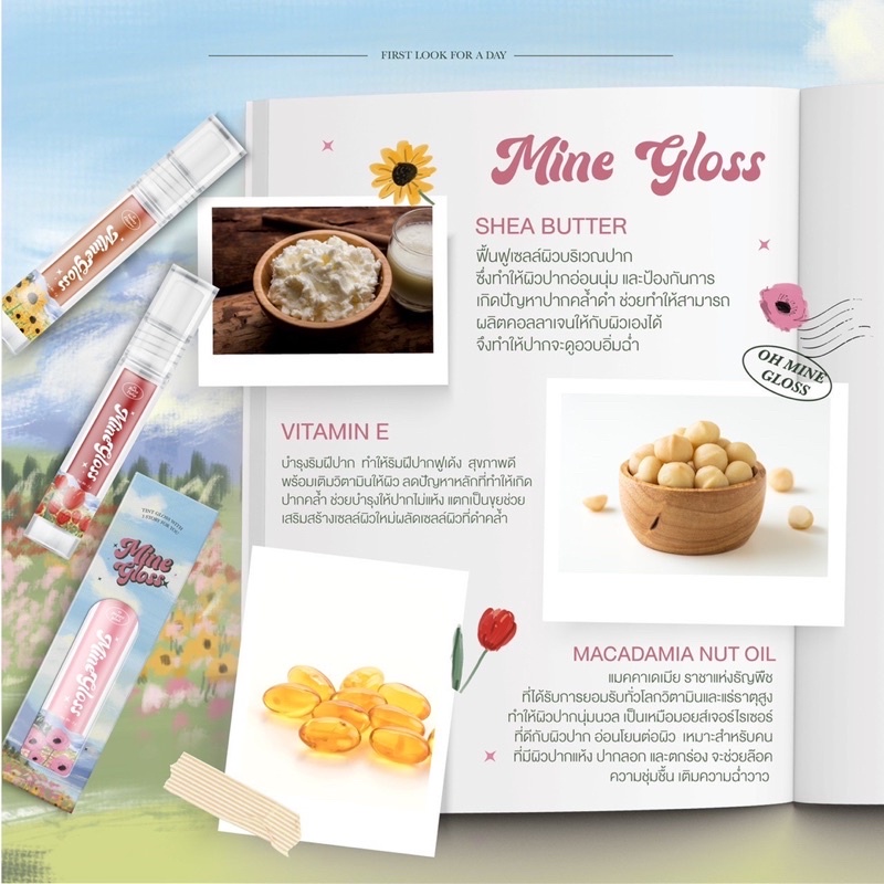 พร้อมส่ง ส่งฟรี Gvana box set G-vana จีวานา มายกรอส ลิปกรอสมีสี สเตนติ ...