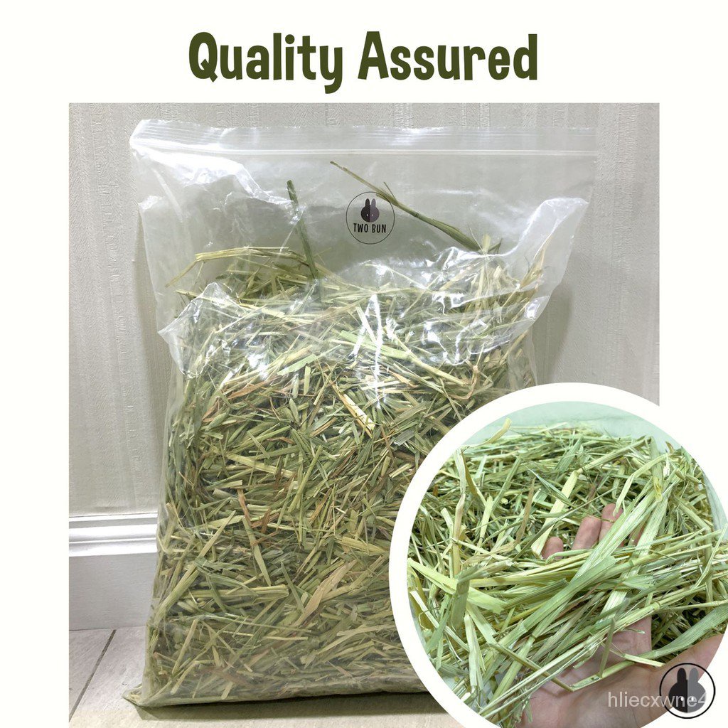 READY STOCK Australia Golden Oat Hay 500g (Suitable for rabbits ...