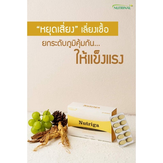 Nutriga นูทริก้า เสริมภูมิคุ้มกันให้ร่างกาย ลดการอับเสบติดเชื้อ ทำลาย ...