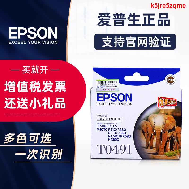 ♂ Epson original T0491 ตลับหมึก EPSON STYLUS PHOTO R210 R230 R310 R350 ...