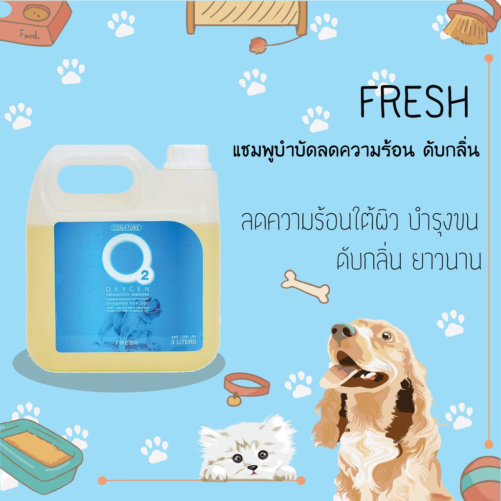 โปรแรงสุด O2 Fresh Gallon อ่อนโยนแม้ผิวแพ้ง่าย ลดฮีสโตรก ให้ความเย็น ...