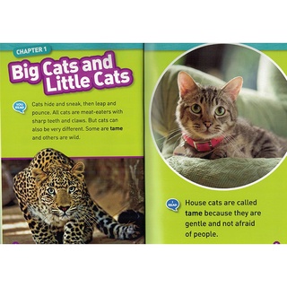 English original picture book National Geographic Kids Readers:Cats ...