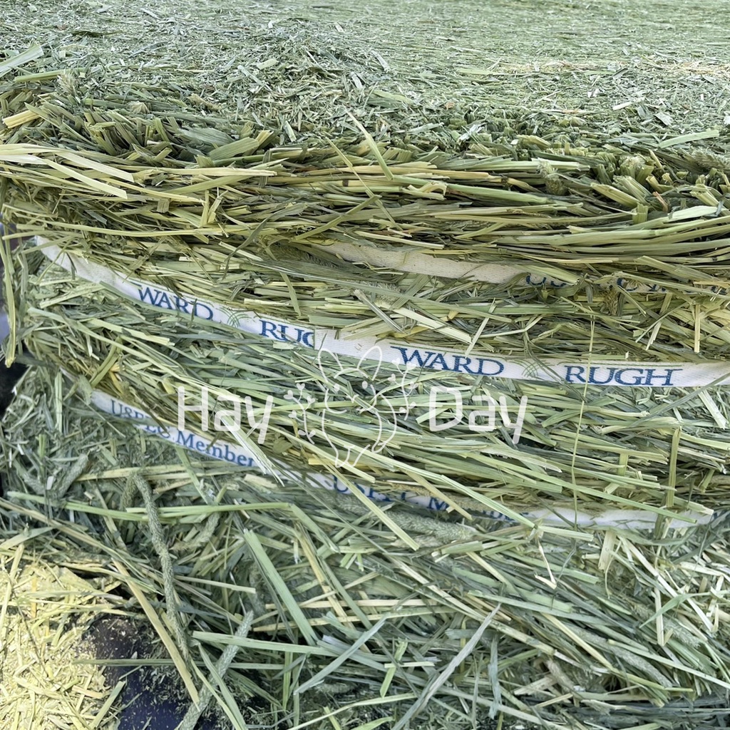 Lot.ใหม่Ward rughหญ้าแห้งทิมโมธี ซุปเปอร์พรีเมียม ร่อนฝุ่น สำหรับ ...