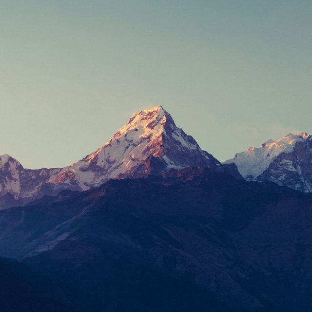 Oattie Ralax, ร้านค้าออนไลน์ | Shopee Thailand