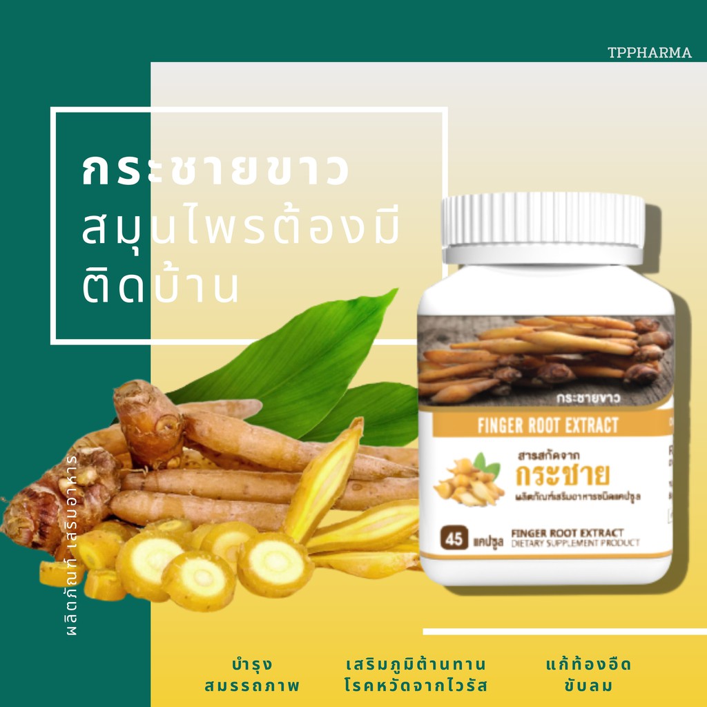 Finger Root Extract กระชายขาวสูตรเข้มข้น 290 มก.ต้านหวัดจากไวรัส เสริม ...