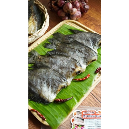ปลาสลิดหอม บางบ่อ (สูตรโบราณ) - plasalid_bangbo_m_aoy_1 - ThaiPick