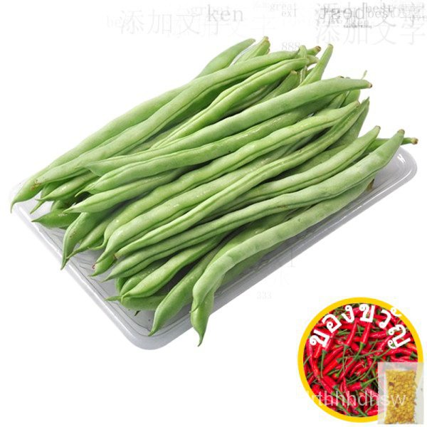 Bush Sitao Short Seeds Sumilang Beans (50-55 seeds) 10grams Plants ...