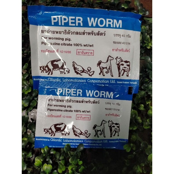 Worm ถูกที่สุด พร้อมโปรโมชั่น - มิ.ย 2022 | BigGo เช็คราคาง่ายๆ