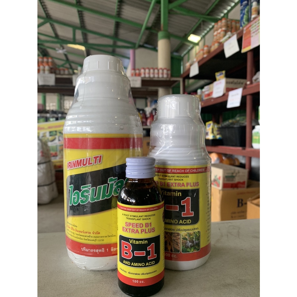 ฺB-1 น้ำยาเร่งราก วิตามิน B-1 | Shopee Thailand