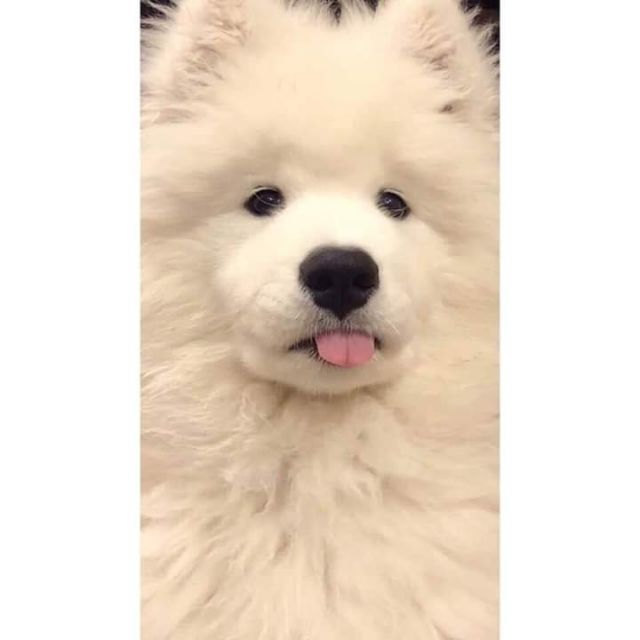 lukjan.lukjan, ร้านค้าออนไลน์ | Shopee Thailand