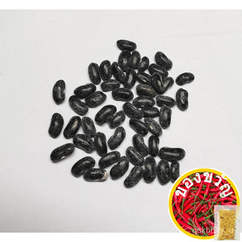 BAGUIO BEANS SEEDS (20pcs seeds) HYBRIDEASY TO GROWHIGH YIELDING ...