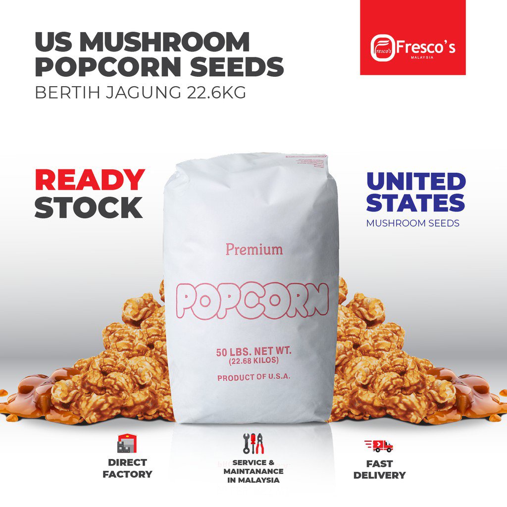 Popcorn Seed Mushroom Bertih Jagung Bertih Jagung Popcorn seeds 1qAm ...