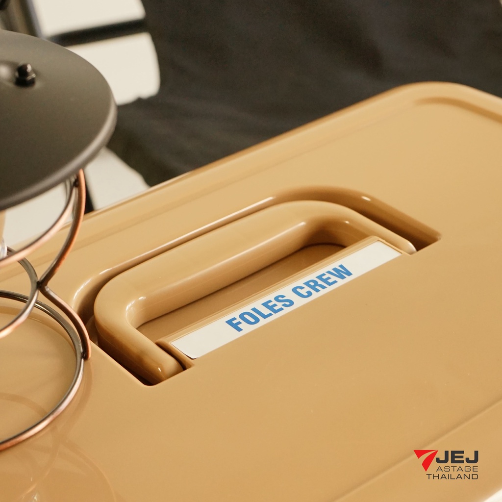 JEJ ASTAGE (Made in Japan) Danboard Foles Crew 13L. - homusan - ThaiPick