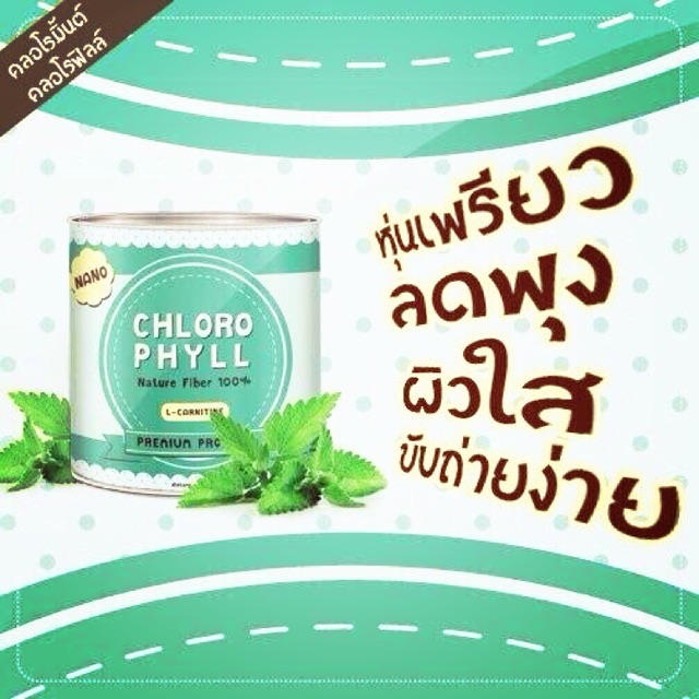 คลอโรฟิลล์ มิ้นท์(Chloro Mint) | Shopee Thailand