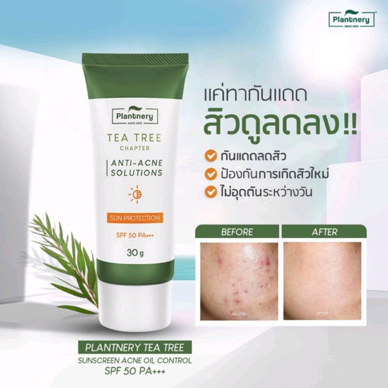 plantnery Tea tree Sunscreenครีมกันแดด สำหรับผิวแพ้ง่าย ลดสิว ลดฝ้ากระ ...
